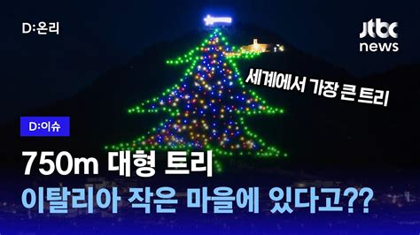 산비탈에 눕혀진 세계에서 가장 큰 크리스마스 트리 높은 트리 모음집 ｜d 이슈 Youtube