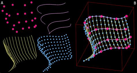 Surface Generation A Step By Step Procedure Manual Picks First Set Download Scientific
