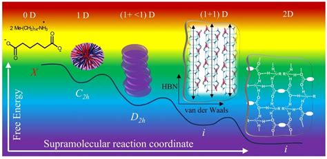 Symmetry Breaking In Supramolecular Gel Condensation Sahoo Chemistry An Asian Journal