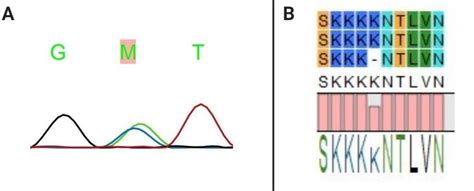 Screenshots From Clc Main Workbench Showing Two Different Examples Of