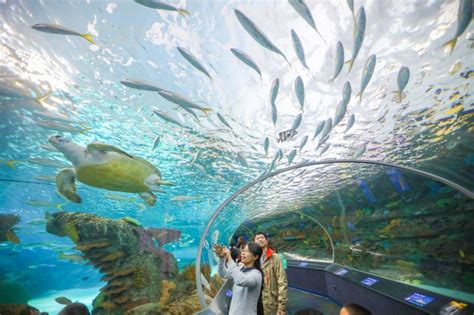 토론토 여행 18 캐나다 최대 규모 리플리 아쿠아리움 수족관 탐방 네이버 블로그