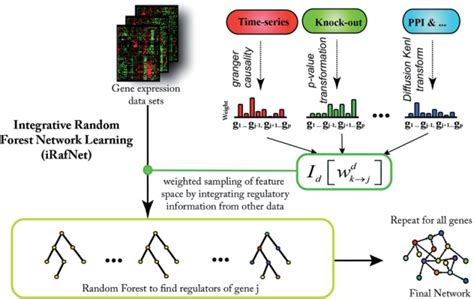 Integrative Random Forest For Gene Regulatory Network Inference Pmc