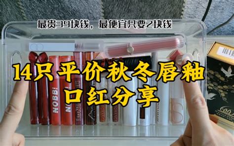 在pdd上买的14只平价秋冬唇釉和口红，最贵39，最便宜2块钱，颜色都是根 哔哩哔哩