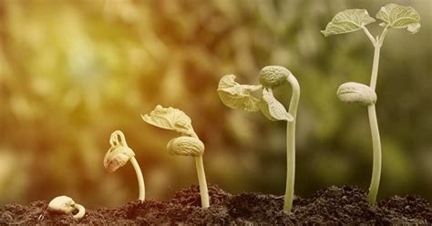 Measuring Continuous Improvement Easy Metrics