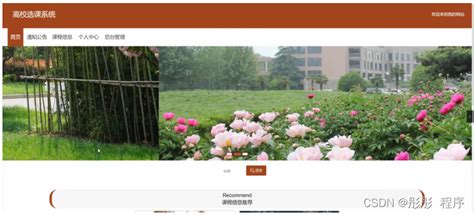 计算机毕业设计node js vue高校选课系统（程序 源码 lw 部署