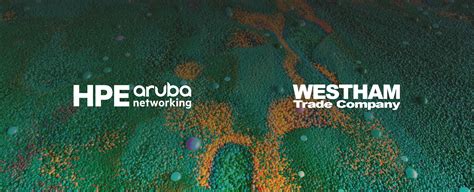 New Hpe Aruba Networking Secure Access Service Edge Sase Security Service Edge Sse Demo