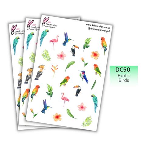 Exotic Birds Kiki London