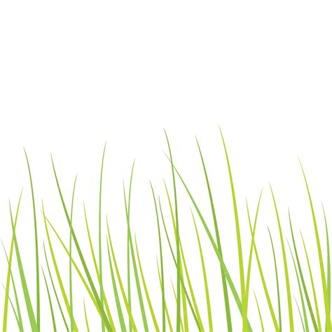 Premium Vector Nature Grass Template With Copy Space