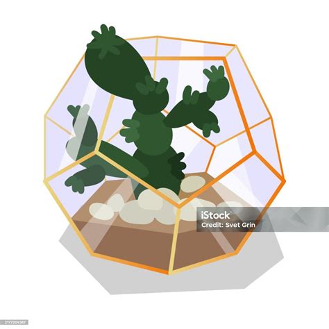 배경에 강조 표시된 Florarium의 유리 테라리움과 벡터 그림 플랫 스타일의 기하학적 인 화분에 선인장 식물은 황금 유리 케이지 용기에 있습니다 격리 공예에 대한 스톡