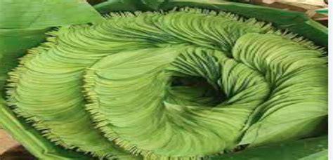 မန္တလေးမြို့နယ်၌ ကွမ်းဈေးနှုန်းများ မြင့်တက်လျက်ရှိ Consumer