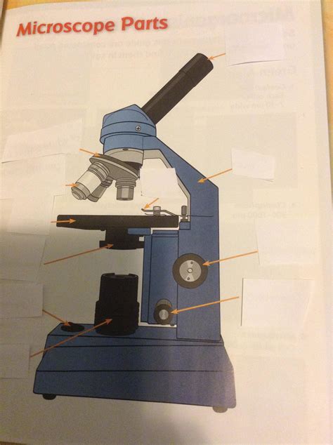 Diagram Diagram Quizlet