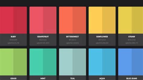 20 Color Palette