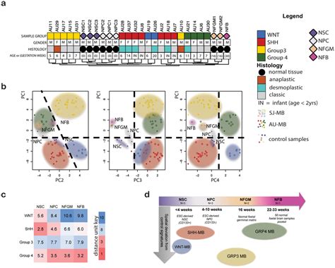 Alignment Of Molecular Subgroups To Developmental Controls A