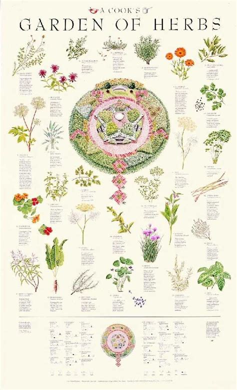 Posters A Cooks Garden Of Herbs Poster I Own It And Now It Will