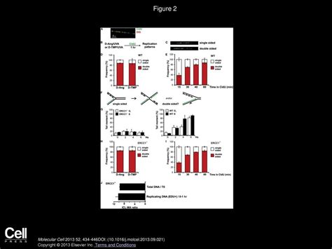 Volume 52 Issue 3 Pages November 2013 Ppt Download