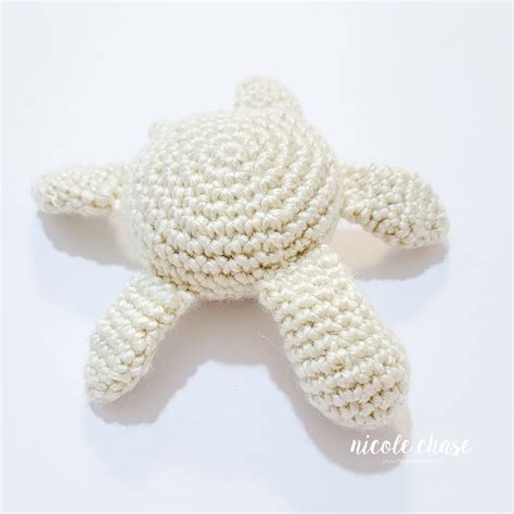 Nala The No Sew Turtle Free Crochet Pattern — Nicole Chase