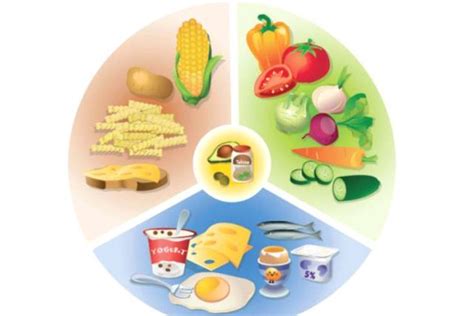 Neanderthal Food And Diet