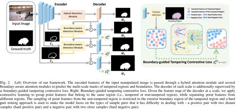 Attentive And Contrastive Image Manipulation Localization With Boundary