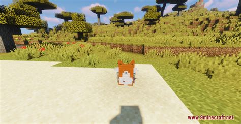 Shulker Box Backpacks Resource Pack 1 19 2 1 18 2 Texture Pack