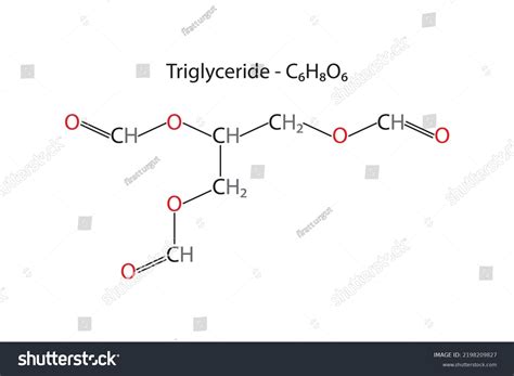 Fórmula Molecular De Triglicérido El Triglicérido Vector De Stock