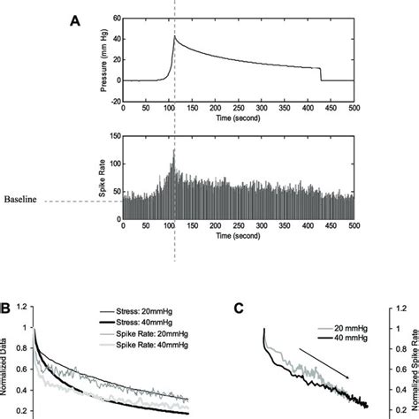 multiunit afferent response during stress relaxation test a download scientific diagram