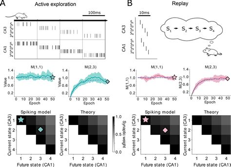 Learning Predictive Cognitive Maps With Spiking Neurons During Behavior