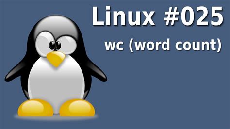 Linux Wc Word Count Zeichen Wörter Und Zeilen Einer Datei Zählen