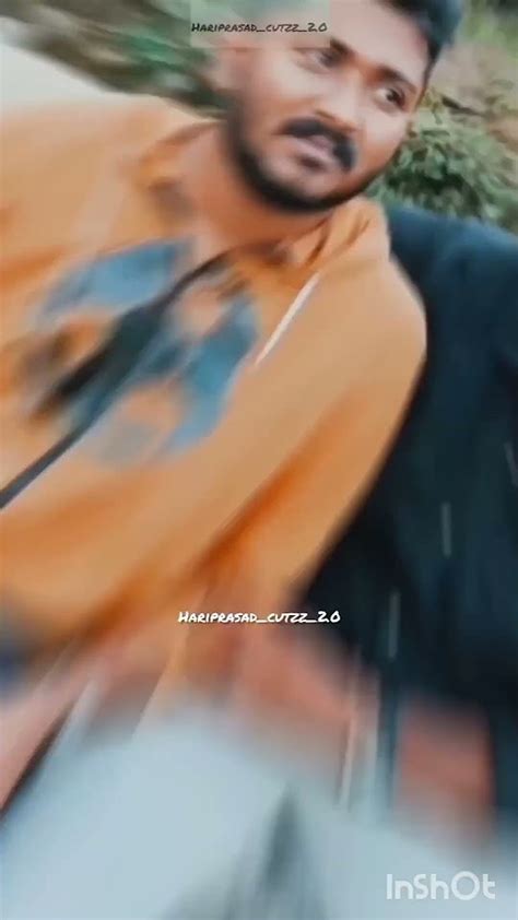 Hashiree 😹 Youtube