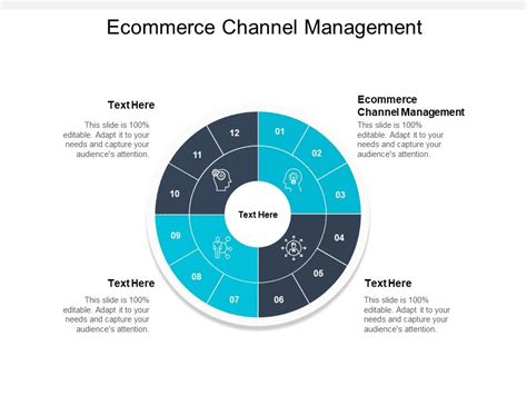 Ecommerce Channel Management Ppt PowerPoint Presentation Infographics Graphics Download Cpb