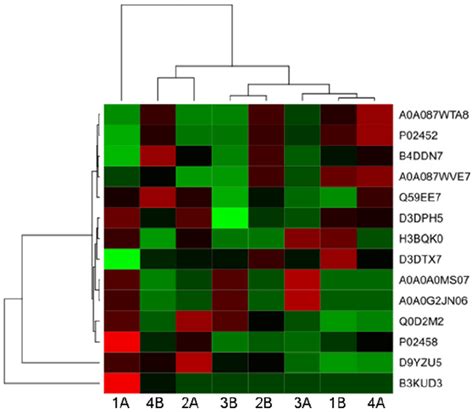 The Heatmap Of Proteomic Analysis A Stands For The Adjacent Normal Download Scientific Diagram