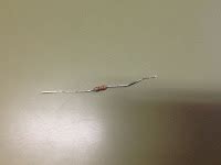 Tecnohelen Arduino práctica Encender y apagar un LED