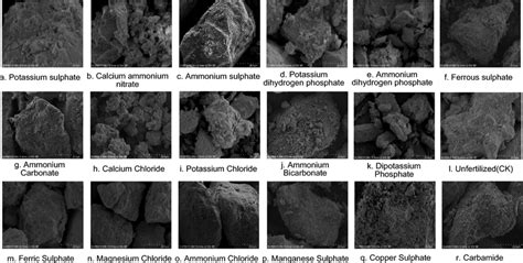 Sediment Particle Morphology Revealed By Scanning Electron Microscope Download Scientific Diagram