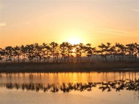 채널 트렌디한 소식 및 정보 인포매틱스뷰 이야기 Zum 허브