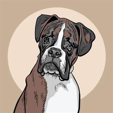 Nicholas Toscano Mba On Linkedin A Guide To Oracle Cloud Ai Medium