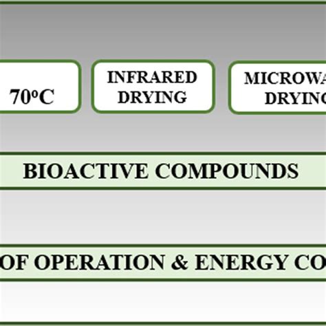Comparison Scale Of Drying Methods For Retention Of Bioactive