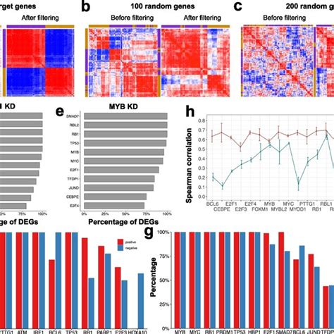 Illustration Of The Grouping Scheme For Target Genes Of A Transcription Download Scientific