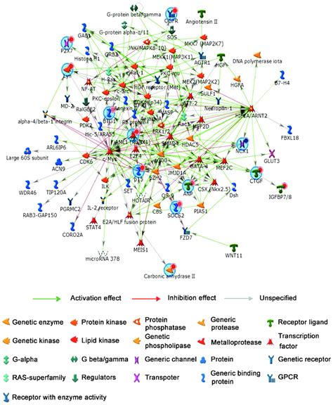Regulatory Network Analysis Was Performed To Present The Network Download Scientific Diagram