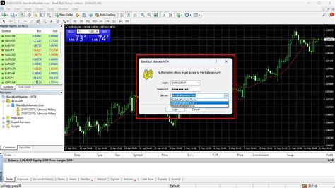 How To Log Into Your MetaTrader MT Account BlackBull Markets