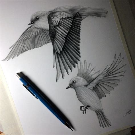 flying bird drawing