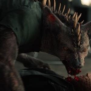 The Imperfects Rotten Tomatoes