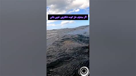 منظور ما دندون تیز نیست 🦈☠️ وحشت انگیز دارک ترس انیمه Scary تیک تاک Horror اکسپلور