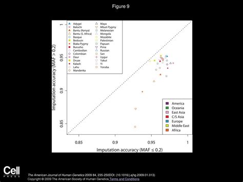 Genotype Imputation Accuracy Across Worldwide Human Populations Ppt