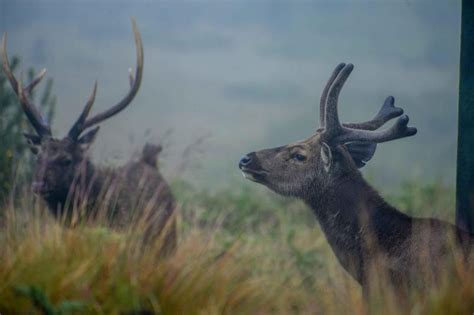 Sasitha Perera Posted On Linkedin