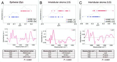 Principal Component Analysis Linear Discriminant Analysis Pca Lda Of Download Scientific