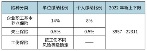 最新社保缴费基数启用你到手的工资或有变化 调整 人员 下限