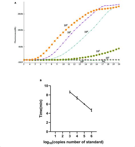 Sensitivity Of The Real Time Recombinase Aid Amplification Raa Download Scientific Diagram