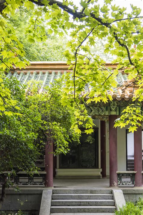 The Stele Passageway Stock Image Image Of Scenic History 73588023