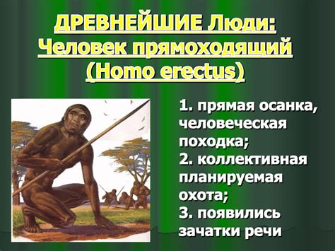 Происхождение человека. Стадии антропосоциогенеза. Адаптация человека ...