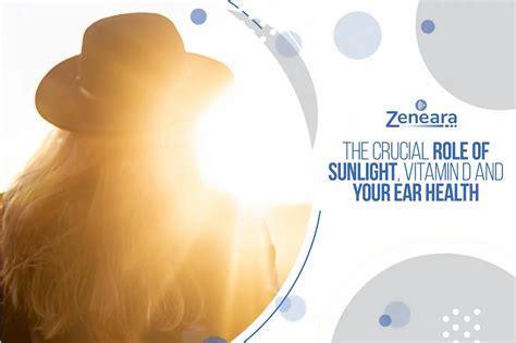 Gut Feelings How Your Gut And Brain Health Impact Your Ears Zeneara