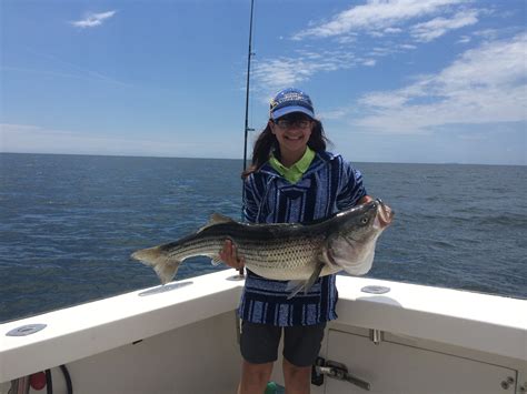 Bluefin Tuna Striped Bass Haddock And Shark Fishing Gloucester Ma